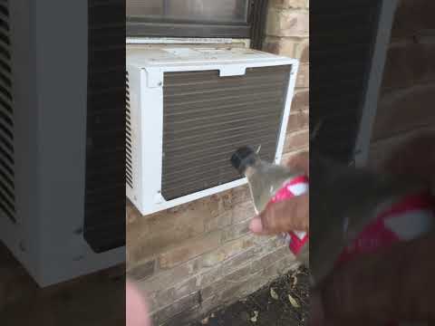 Why won't i cool? Fix for window AC units #shorts