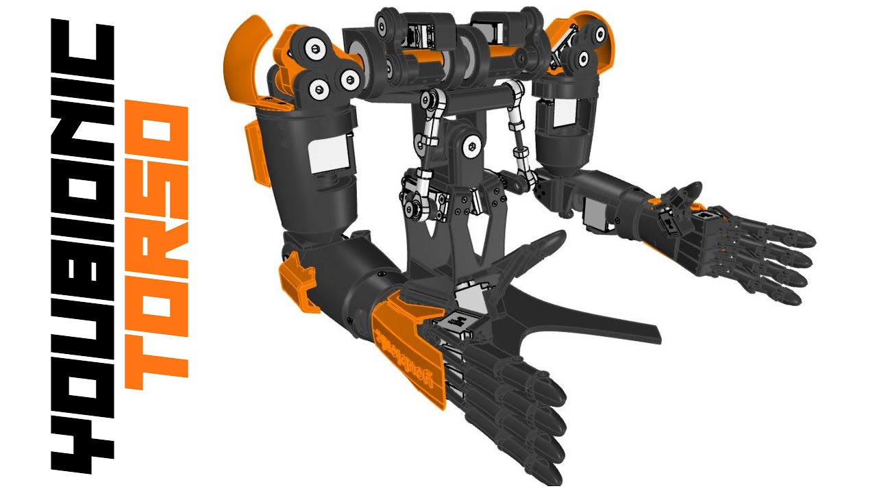 Youbionic Torso 3D Model