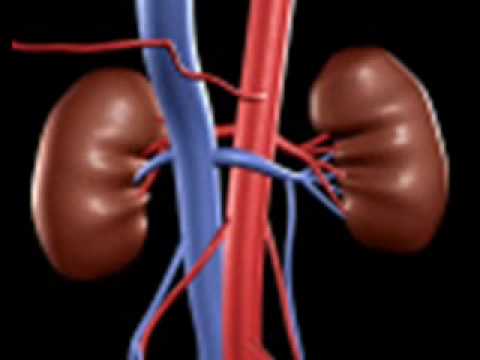 Latest News on Urology