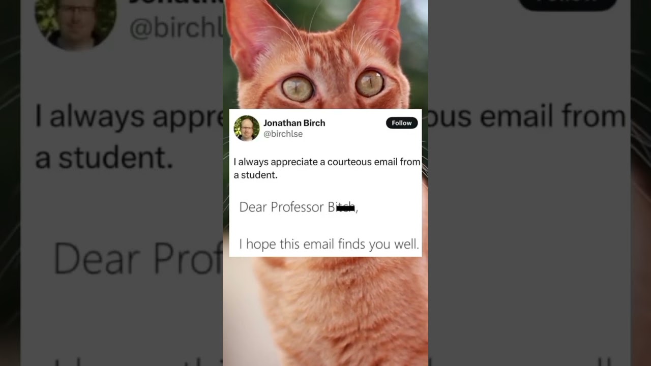 I hope this email finds you well..#memes #shorts #meme #memekitto