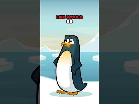 Is Your Name Bubble Wrap? #rizz #relationships #dating #humor #penguin #love #pickuplines #cartoon