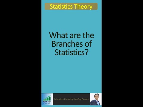 What are the branches of Statistics?