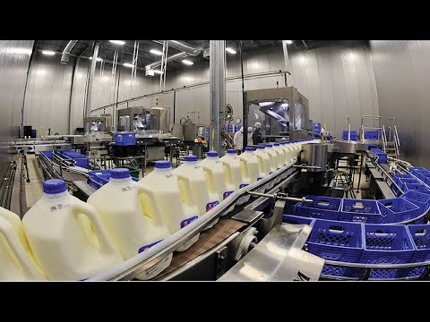 American Sign Language ASL Video Dictionary - dairy