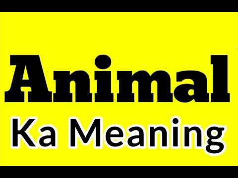 Animal ka meaning kya hai | Animal synonym words in english | Animal ka Synonyms in english