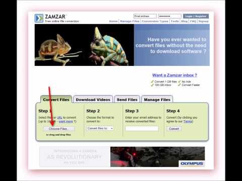 How to convert a PDF file to a DOC file with zamzar com