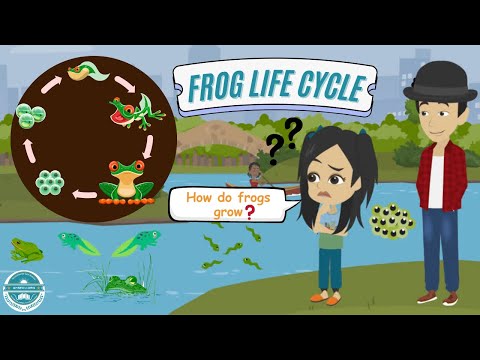 Frog Life Cycle | The Captain AHS-Show | General Science