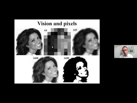 Dr Serge Picaud on "Visual restoration from prosthesis to optogenetic therapy"