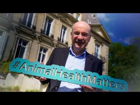 Voices of Animal Health - A Research Scientist's view - Full Interview