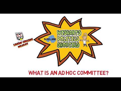 What is an Ad Hoc Committee?