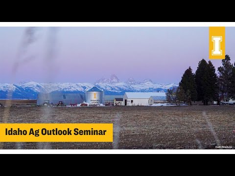 Global and US Agricultural 2022 Outlook