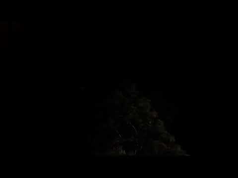 UFO tonight in showlow Arizona 7-14-2020