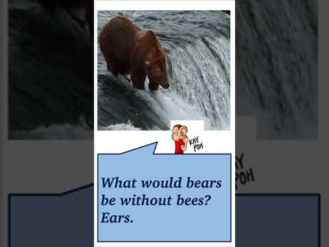 Bears Vs Ears