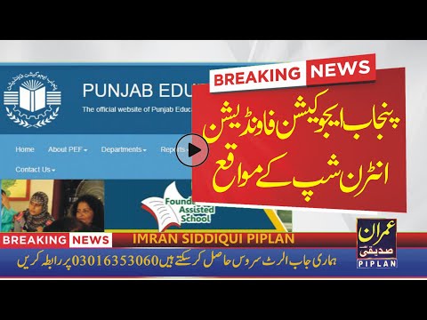 PEF Internships 2022, Punjab Education Foundation Jobs 2022, PEF Internship 2022 Punjab Apply Online
