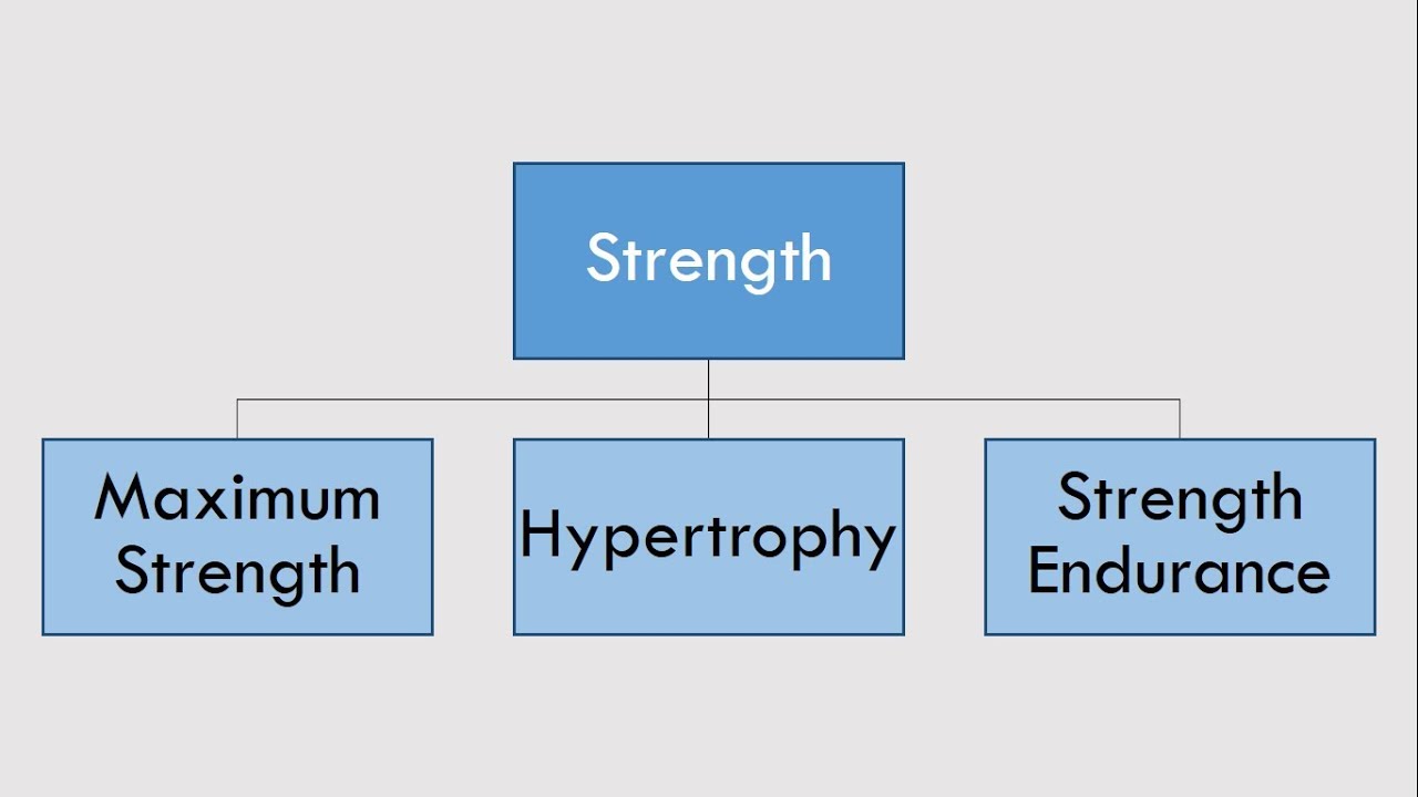Understanding the 4 Pillars of Strength and Conditioning Training ...