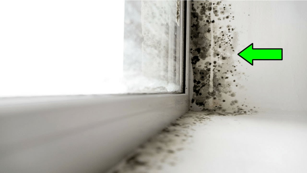 mold-in house ASL
