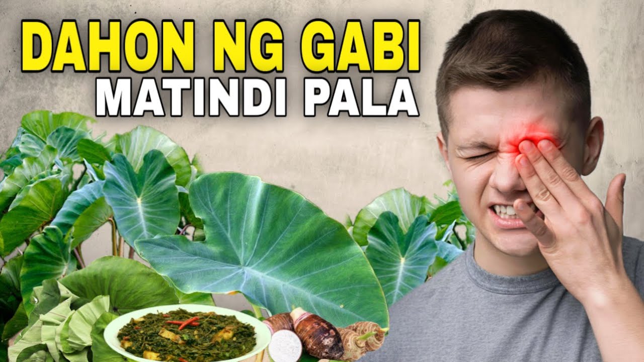 Ang Lihim ng Dahon ng Gabi: Isang Simpleng Halaman na May Malalim na ...
