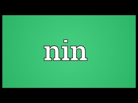 Nin Meaning