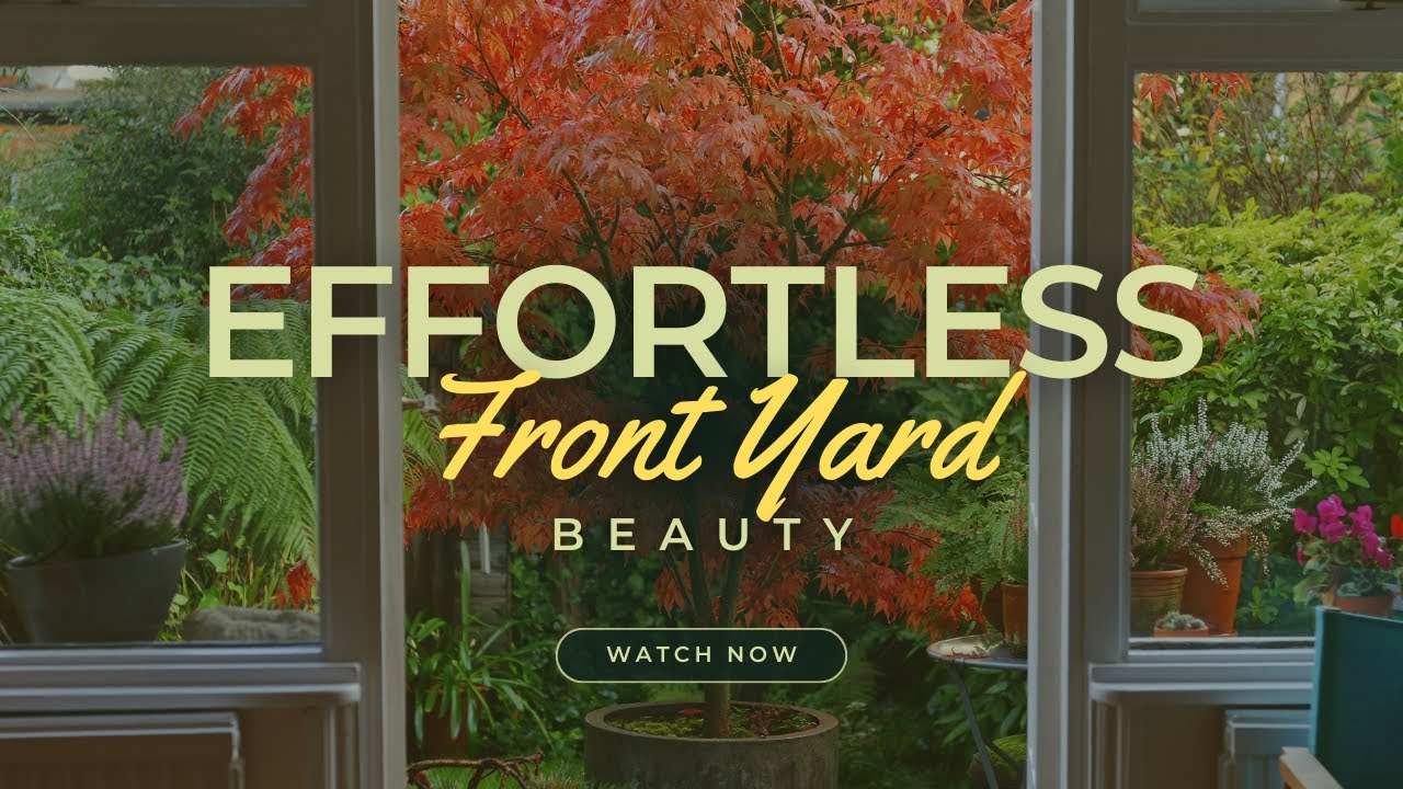 10 Stunning All Season Dwarf Trees 🌳 for Effortless Front Yard Beauty 🌸