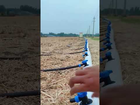t tape irrigation irrigation tape drip line #shorts #farmer #gardening #lawn #crop