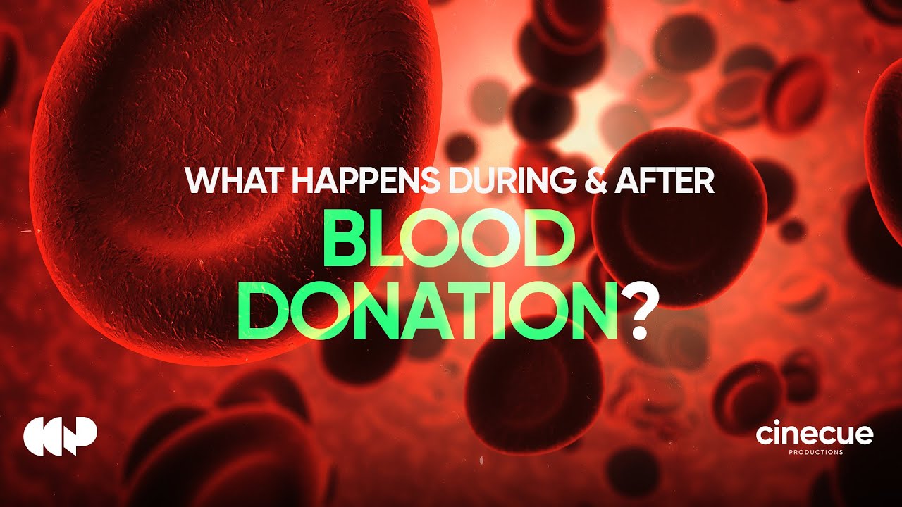 Donating Blood: What Your Body Does Next | CCP