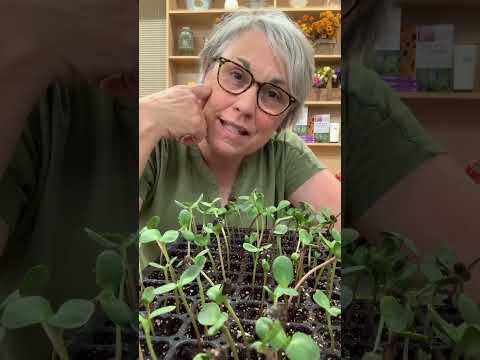 Don’t miss the 20% off coupon code: Take20 Good on the website and phone APP stores! Tools, seeds,