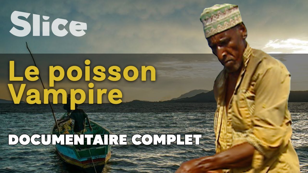 Documentaire | Le poisson vampire