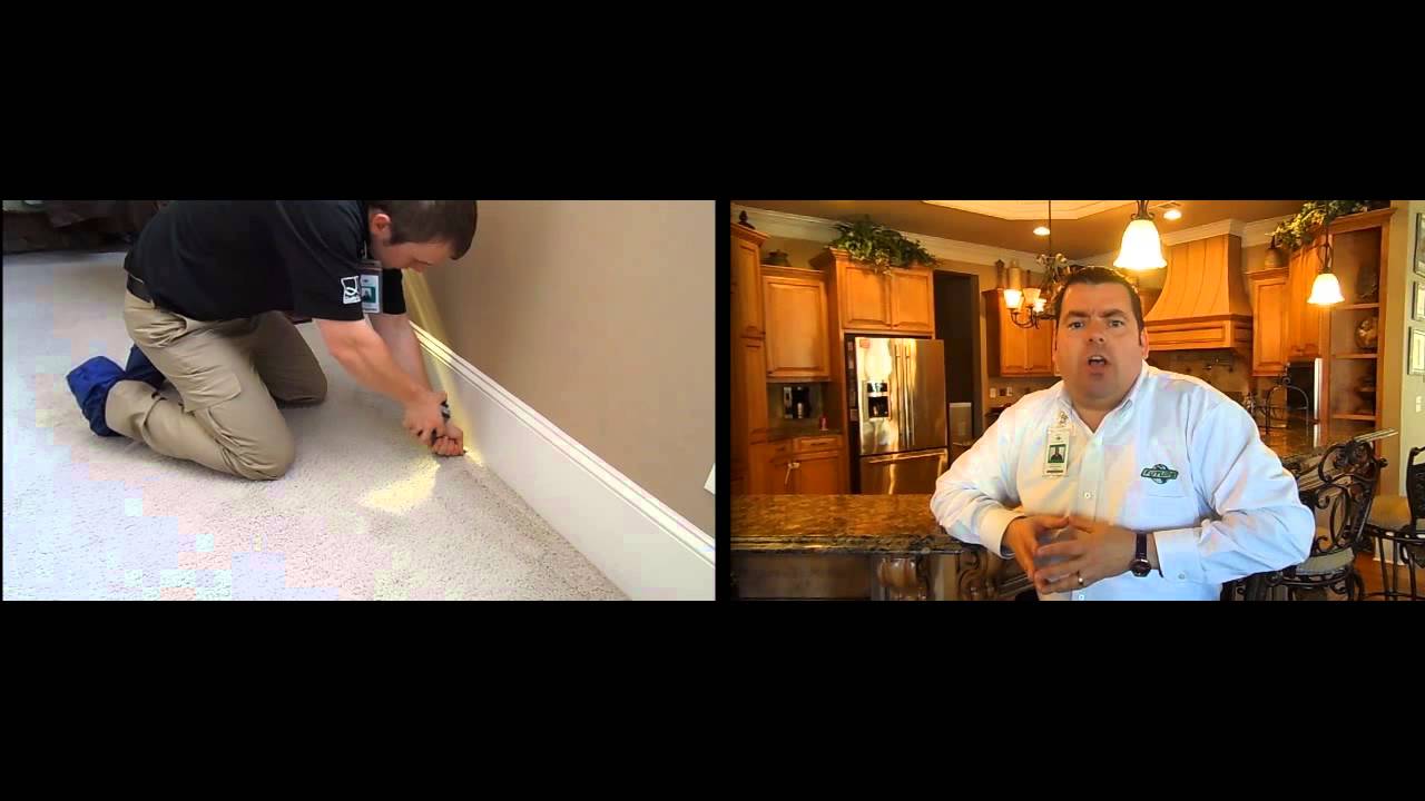 Pest Control by Future Services Inc