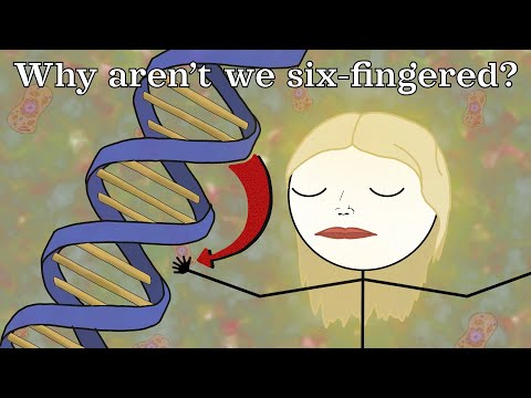 Dominant Genes - Why aren't we all polydactyl?