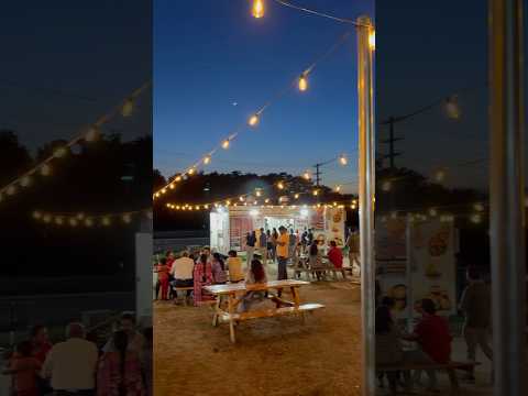 Indian food truck spot 🍴🚚 DALLAS TEXAS