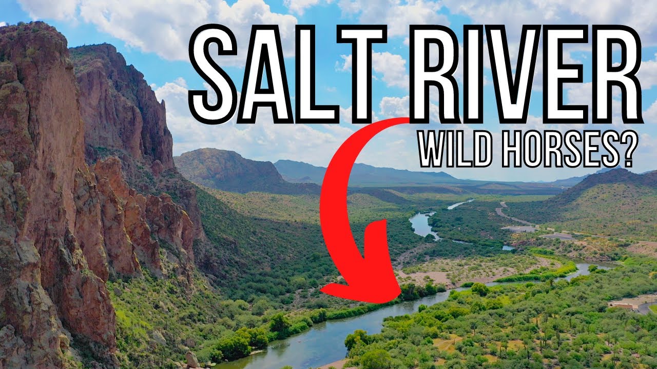Salt River Recreation Area in Phoenix Arizona 🚣🏼‍♀️🌵🐴