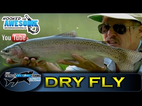 Dry fly fishing for Trout in Stillwaters – TAFishing Show – Carol's Blog