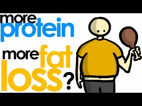 MORE vs LESS PROTEIN For Fat Loss