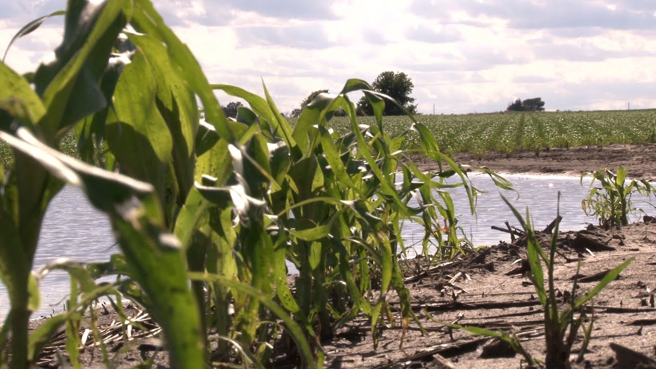 Supreme Court Rules EPA Overreached on Clean Water Act