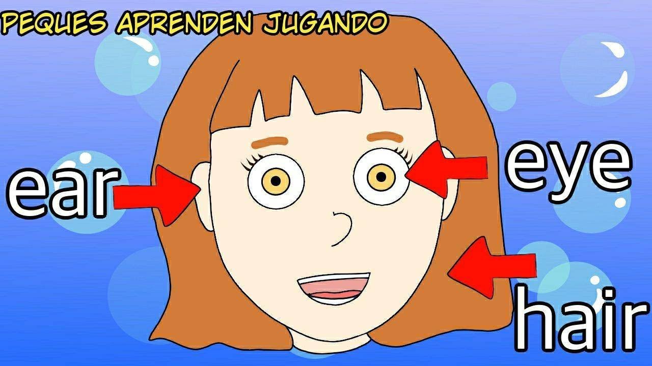 Partes de la cara en inglés para niños  Partes de la cabeza en inglés  Peques Aprenden jugando