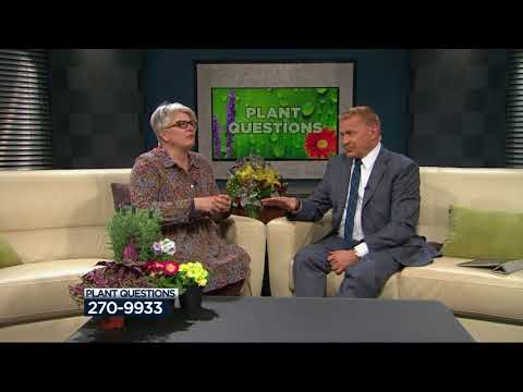 Lisa answers viewer plant, gardening questions
