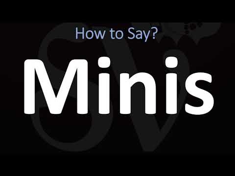 How to Pronounce Minis? (CORRECTLY)