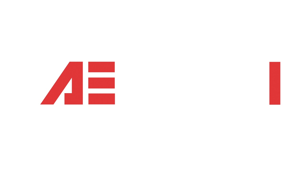 AEI Animating Our Brand