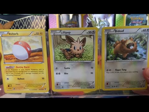 Ordering 20+ Cards from ONE SELLER from TCGPlayer.com