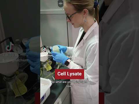Cell Lysis