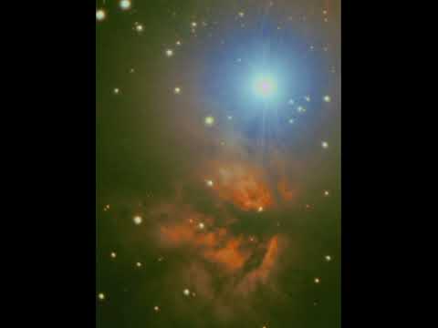 The Flame Nebula in Orion #space #astronomy #nightsky