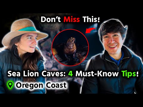 Sea Lion Caves - Oregon Coast: 4 Essential Tips for Your Visit