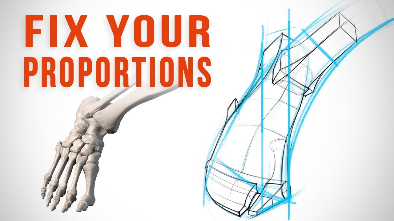 Why Your Proportions are Wrong and How to Fix Them - Proko