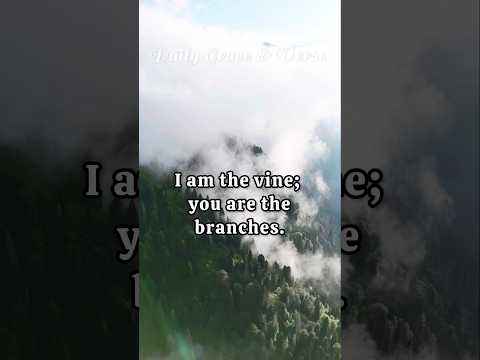 Jesus the True Vine 🙏 | John 15:5 Daily Verse #bible #bibleverse #godspromise #blessed #grace