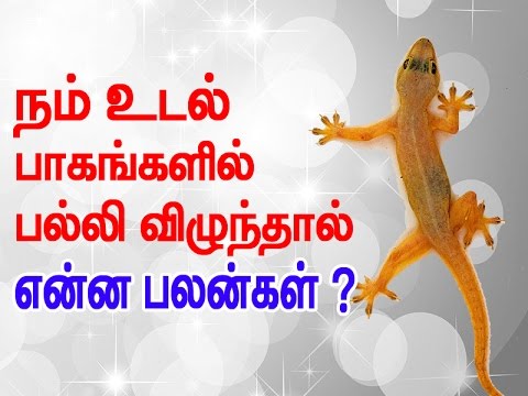 Lizard falling on body parts Interesting prediction based on ancient Shastra