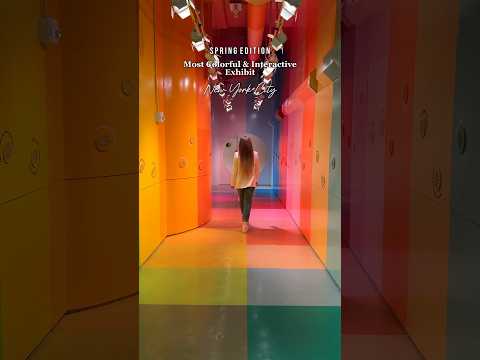 Most colorful & interactive exhibit in New York City