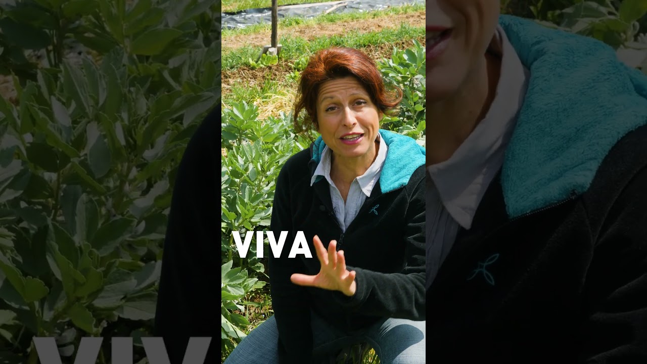 Cos'è il sovescio e perché ci fa risparmiare