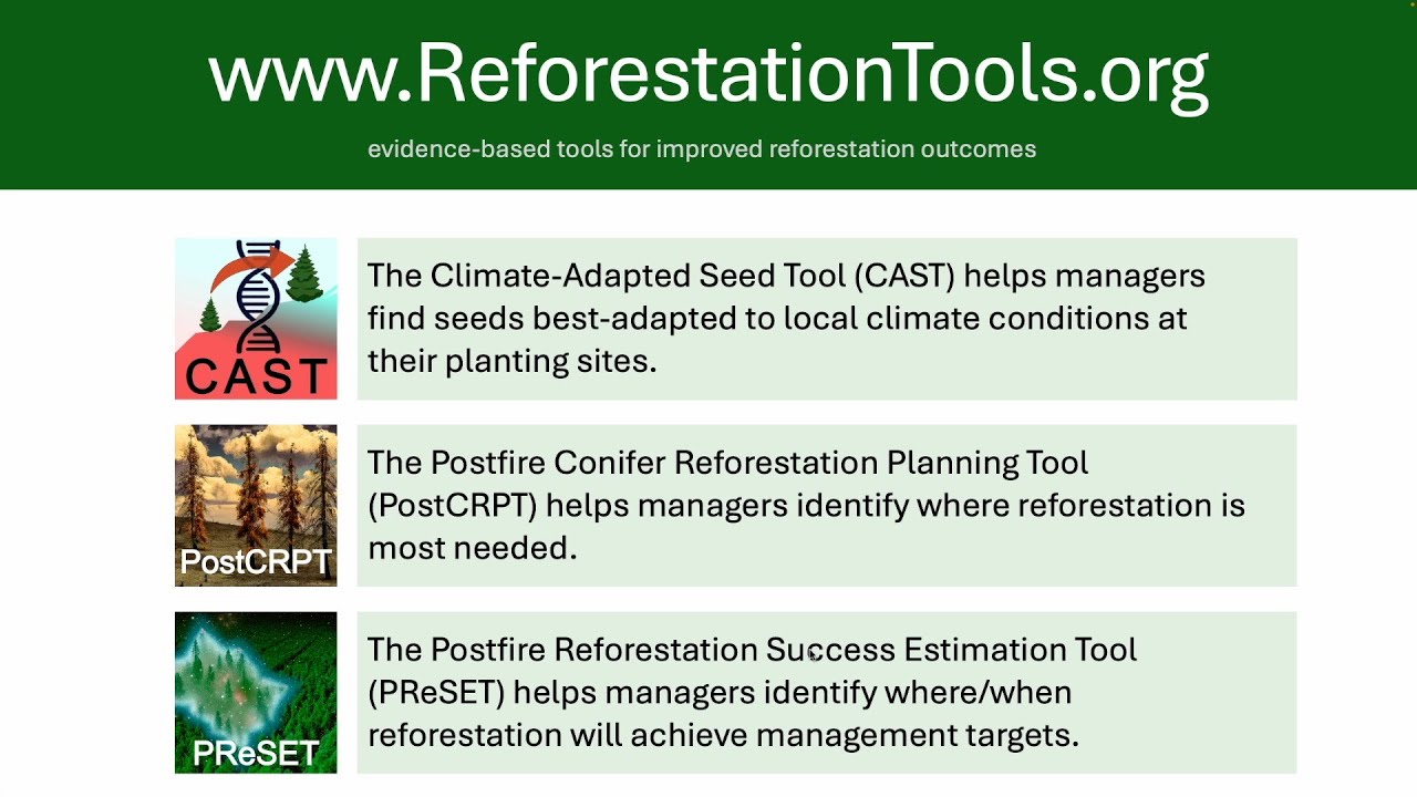 Decision Support Tools for Reforestation