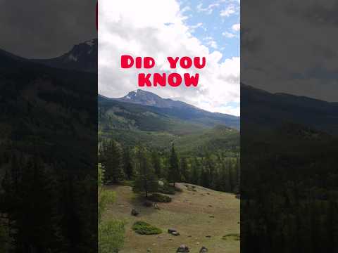 Boreal forest, DID YOU KNOW that about the world lagest biome?