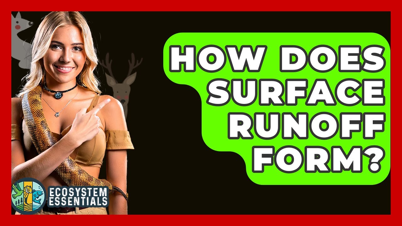 How Does Surface Runoff Form? - Ecosystem Essentials