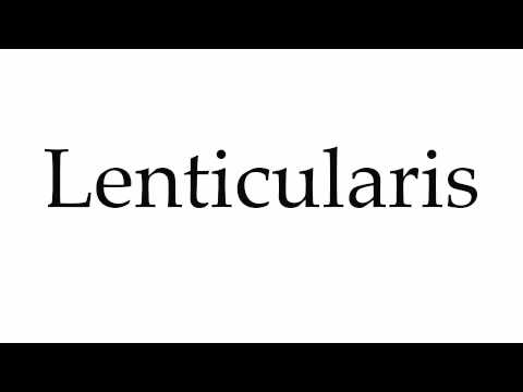 How to Pronounce Lenticularis